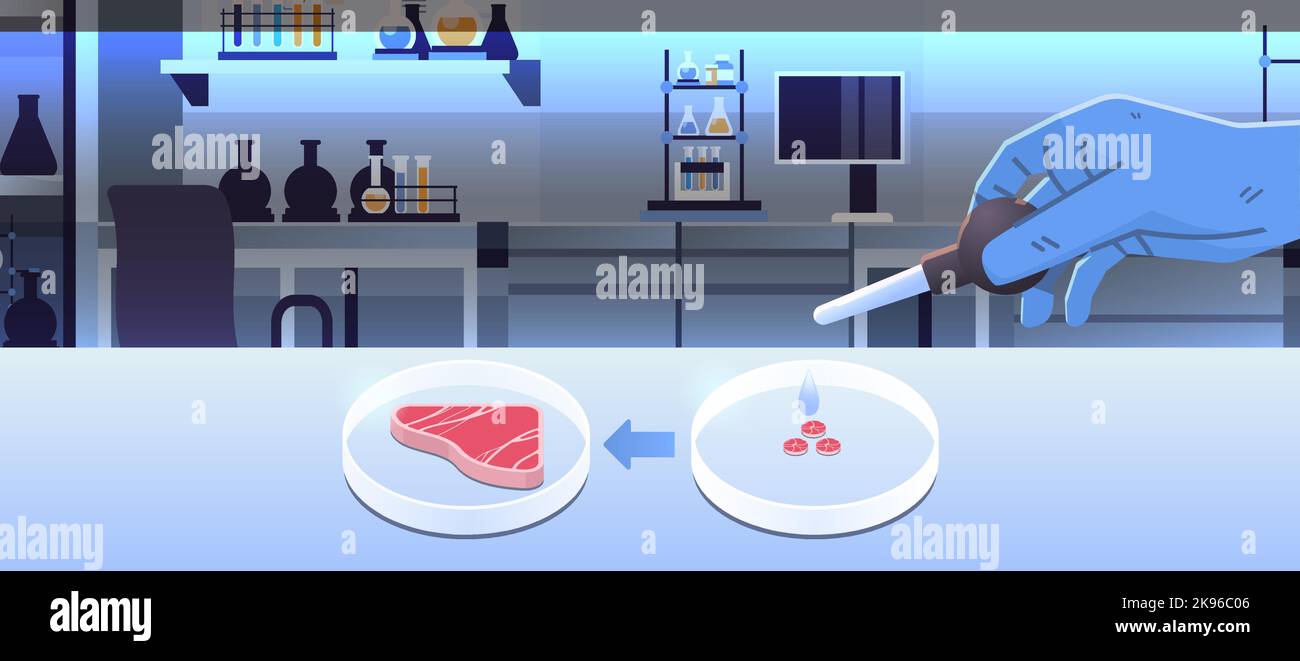 scientist adding drop of liquid from flask in petri dish with beef ...