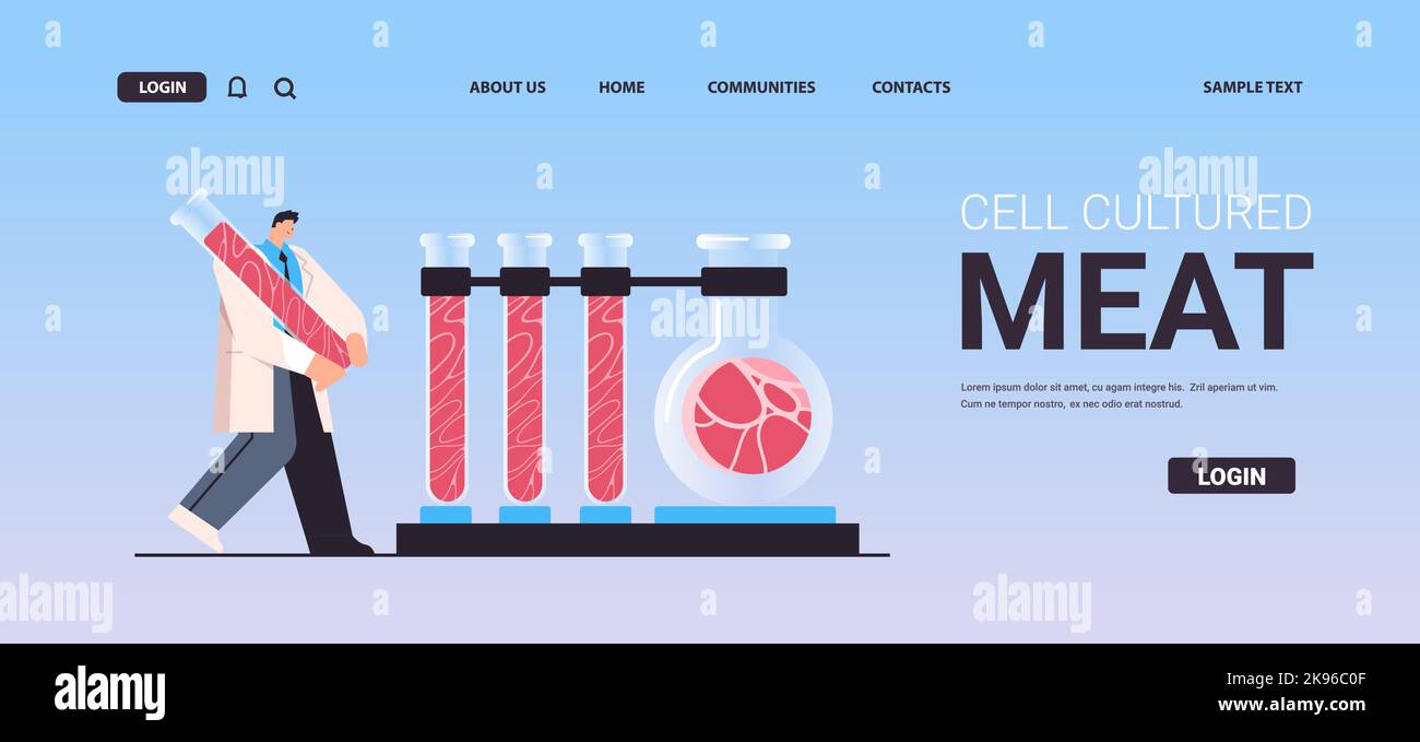 scientist analyzing test tubes with cultured red raw meat made from ...