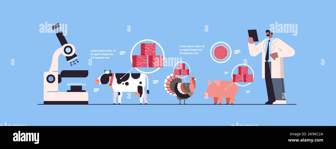 scientist controlling production process of cultured red raw meat made ...