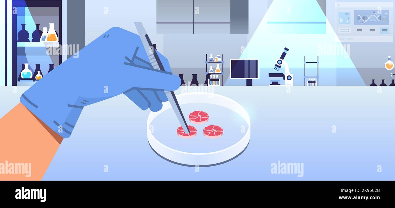 scientist hands holding cultured red raw meat made from animal cells ...