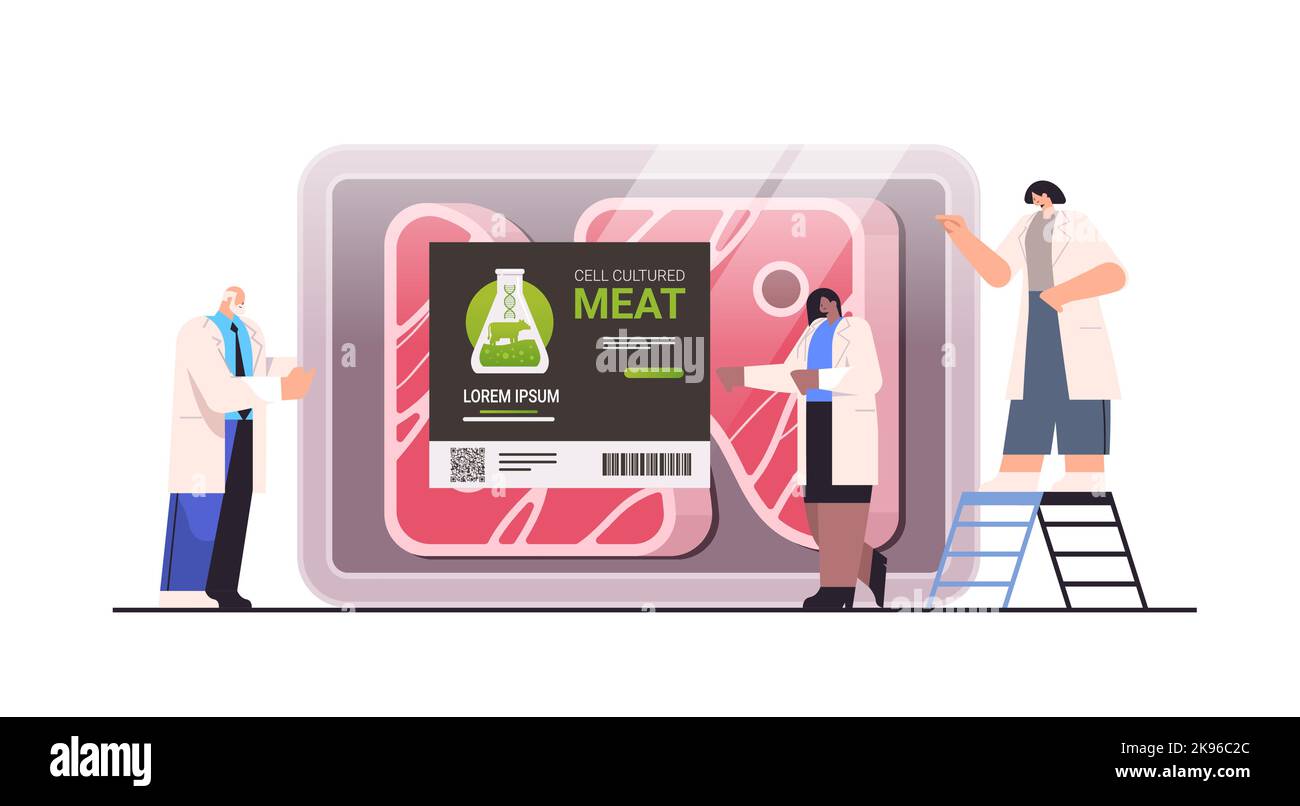 scientists looking at plastic container with cultured red raw meat made ...