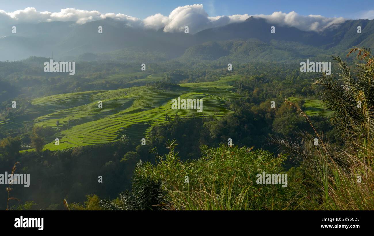 Golo curu hi-res stock photography and images - Alamy