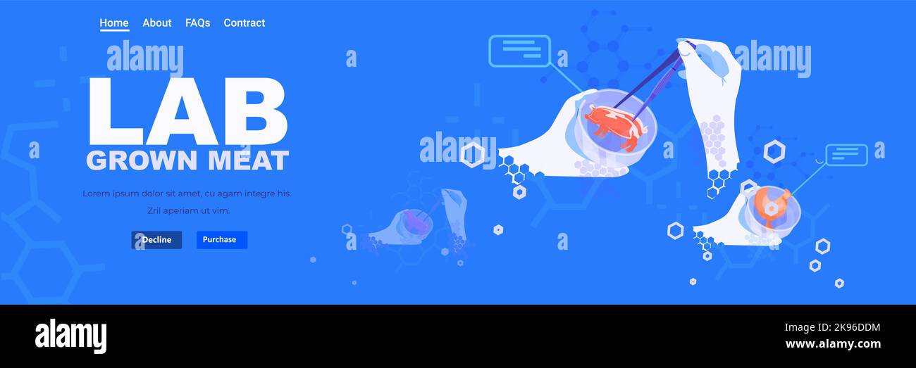 scientist hands analyzing dna of cultured meat made from animal cells ...