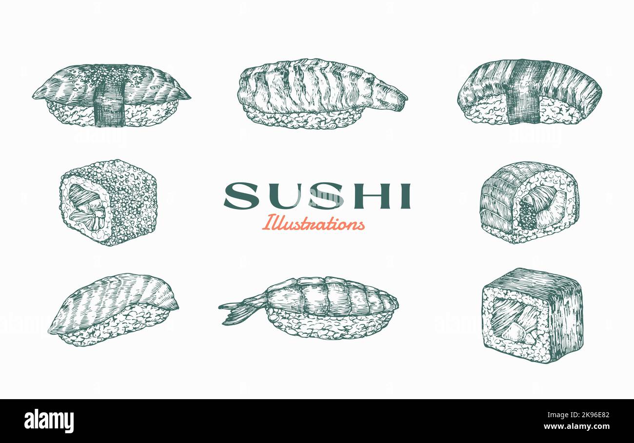 Sushi Abstract Vector Illustration. Hand Drawn Asian Food Sashimi Rise ...