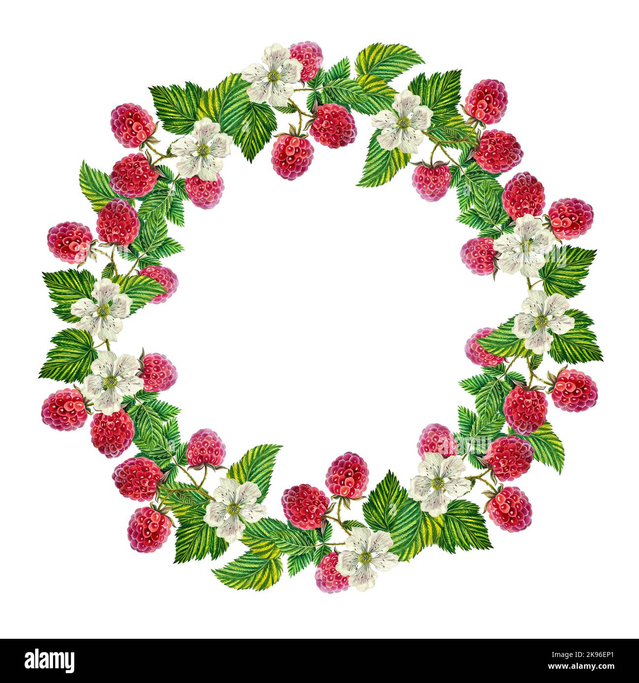 Raspberry. Round frame with raspberry branches with berries and leaves ...