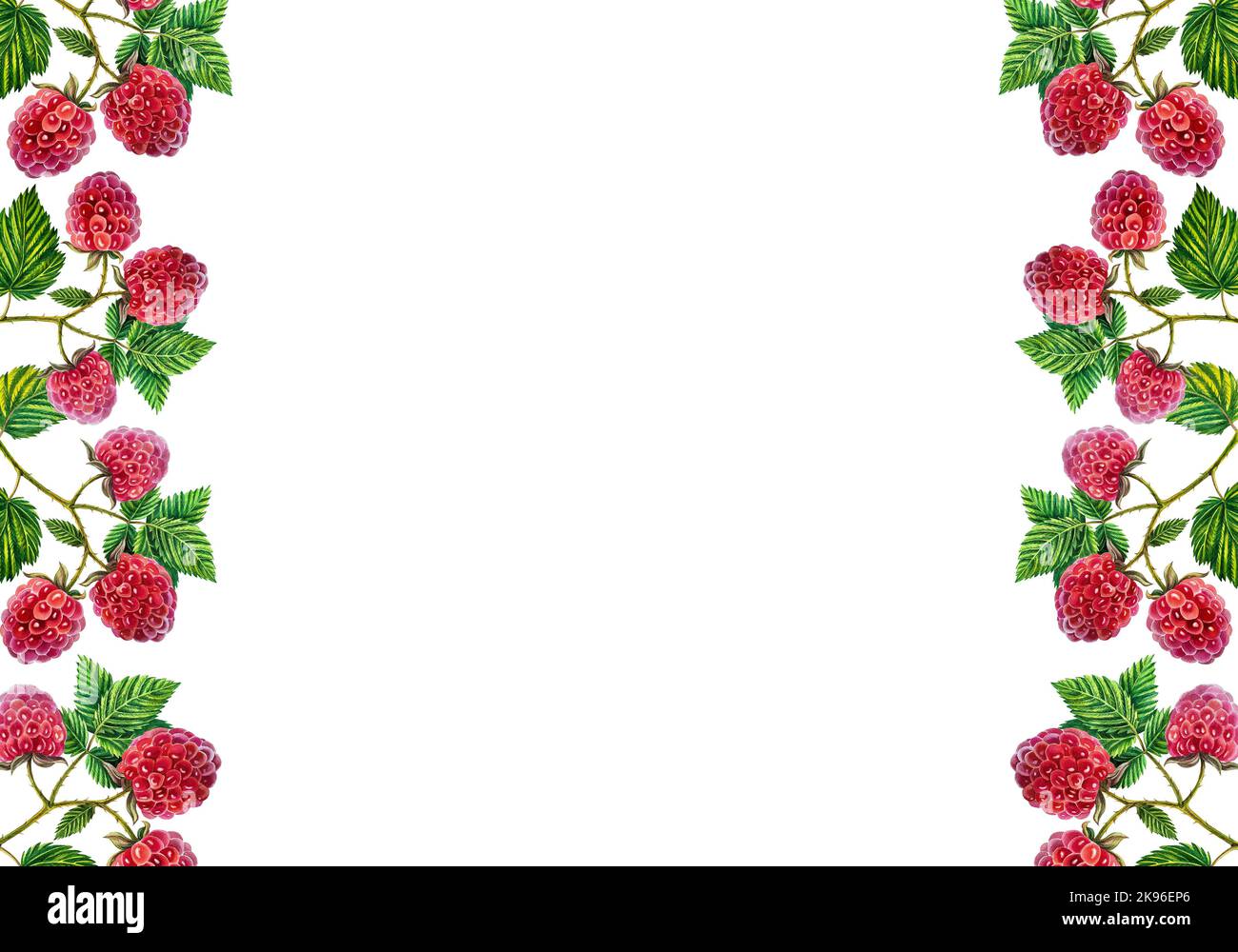 Raspberry. Frame with raspberry branches with berries and leaves ...