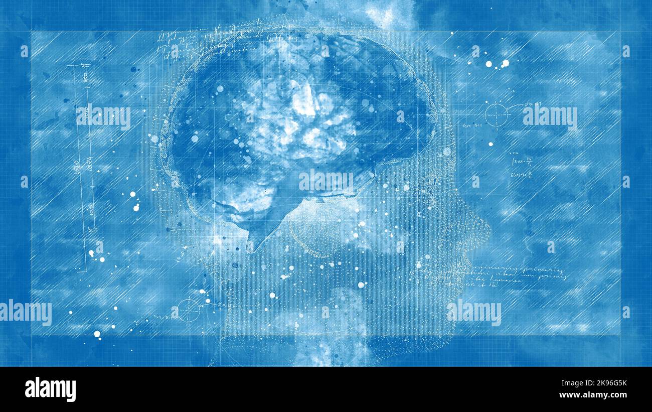Brain study,, drawing of man in profile with brain. Potentiality of the ...