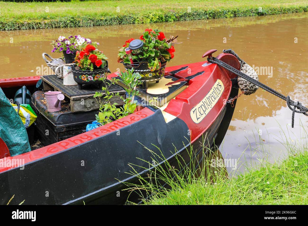 Pots and planters planted with plants and flowers on the front or prow ...