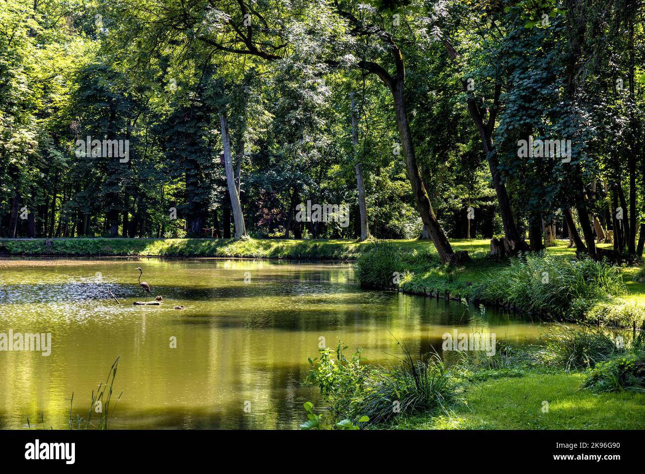 Historic park surrounding XVI century Rozalin Palace with vintage trees ...