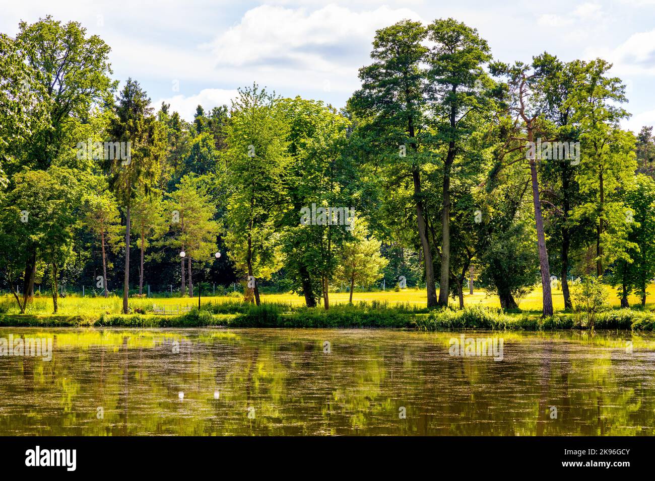 Historic park surrounding XVI century Rozalin Palace with vintage trees ...