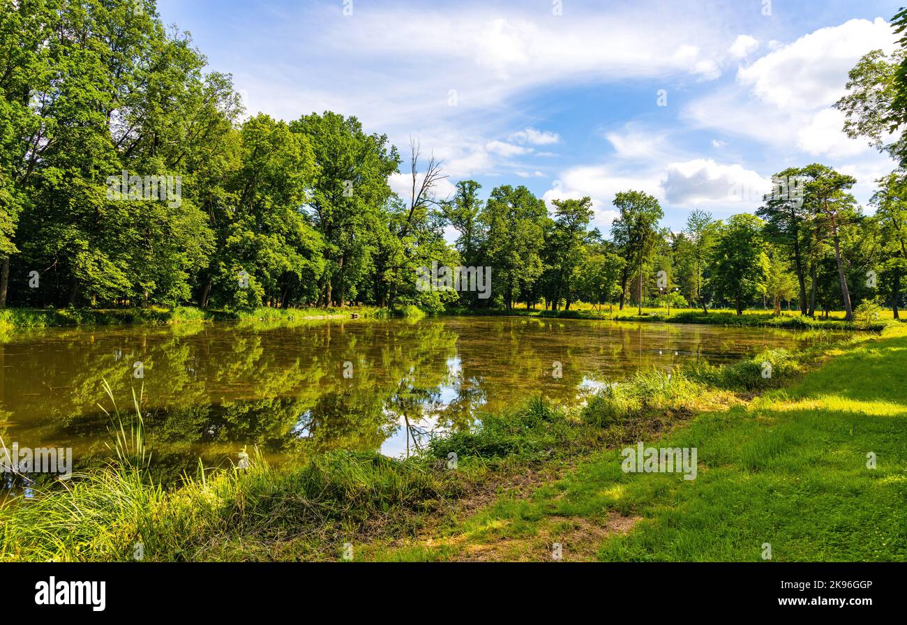 Historic park surrounding XVI century Rozalin Palace with vintage trees ...
