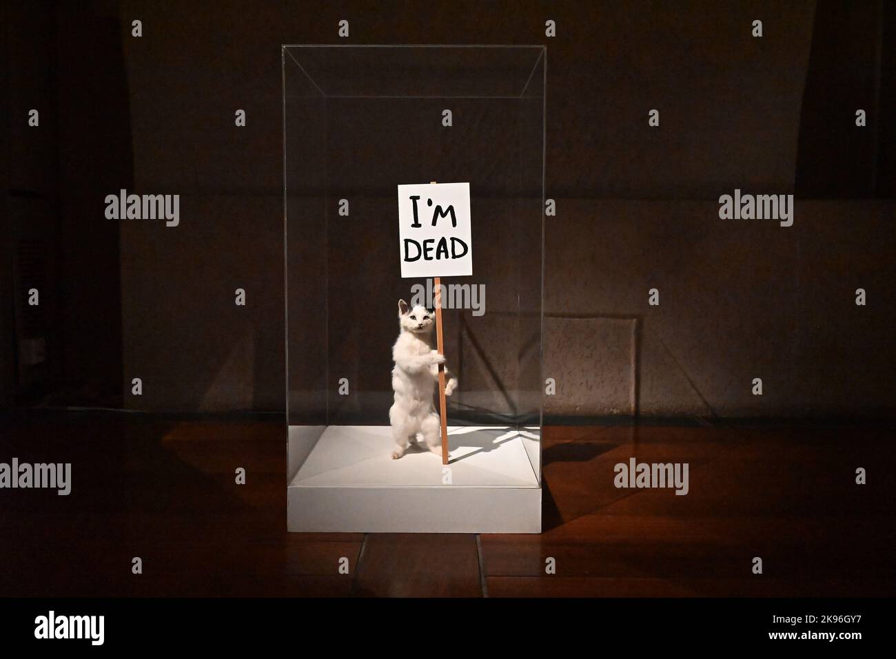 Ahead of Halloween, The Horror Show! exhibition opens at Somerset House ...