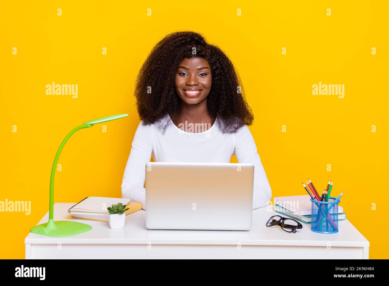 Portrait of pretty positive lady toothy smile use wireless netbook work ...