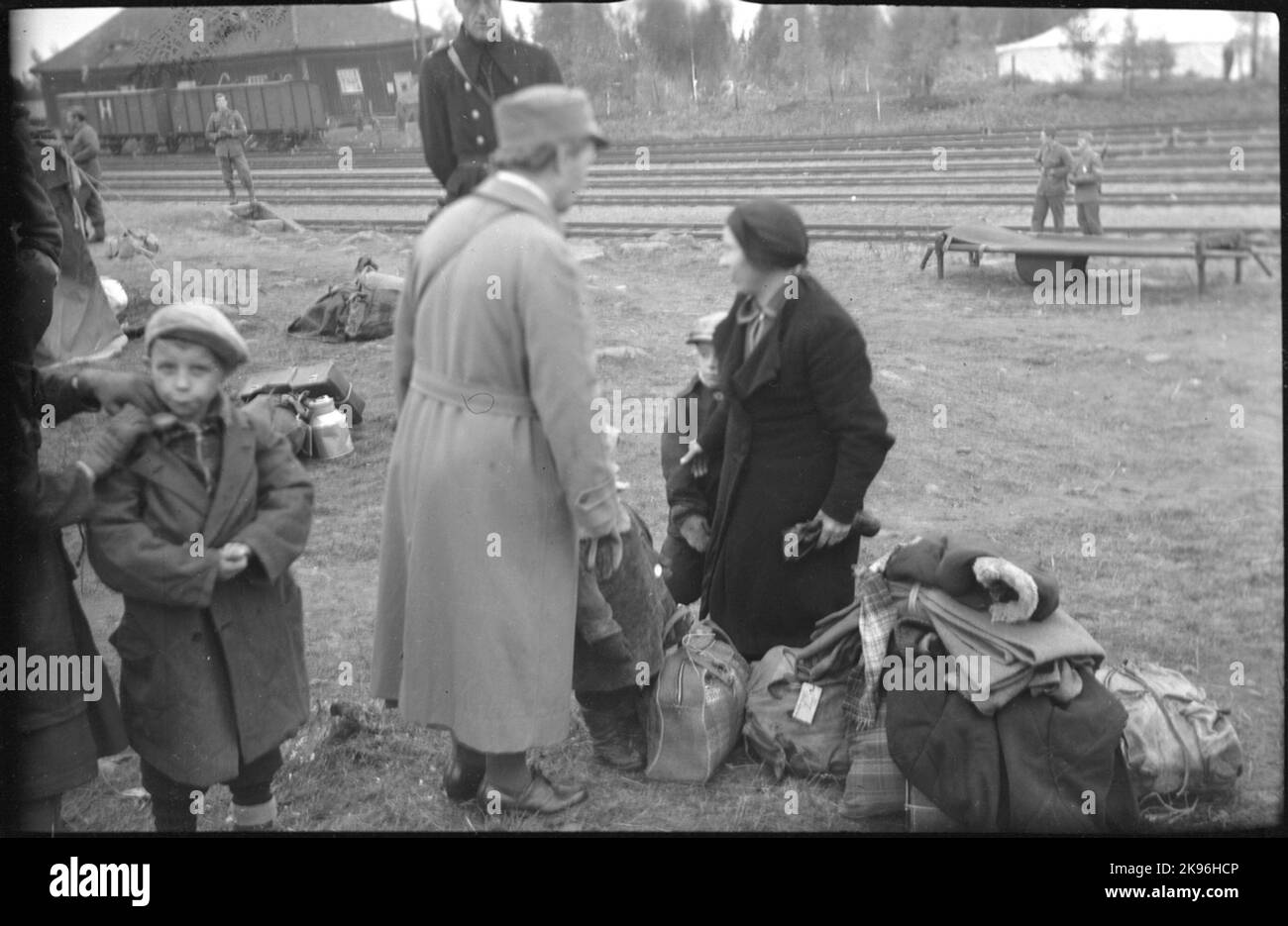 Evacuation of Finnish refugees, autumn 1944 Stock Photo - Alamy