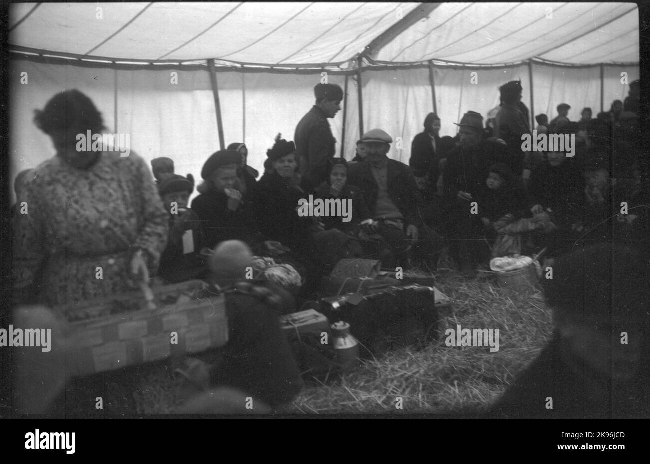 Evacuation of Finnish refugees, autumn 1944 Stock Photo - Alamy