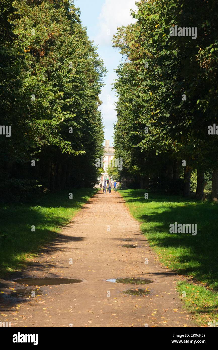 View looking north from Ham Avenues towards Ham House in the distance ...