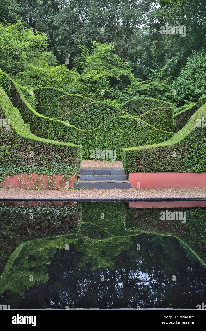 Sculptural architectural topiary hedges reflected in pool Stock Photo ...