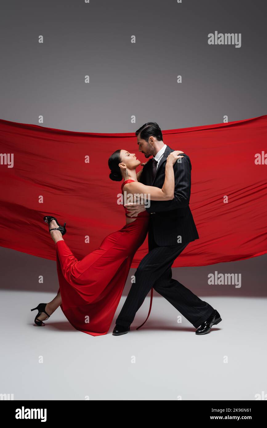 Side view of ballroom dancers performing tango on grey background with ...