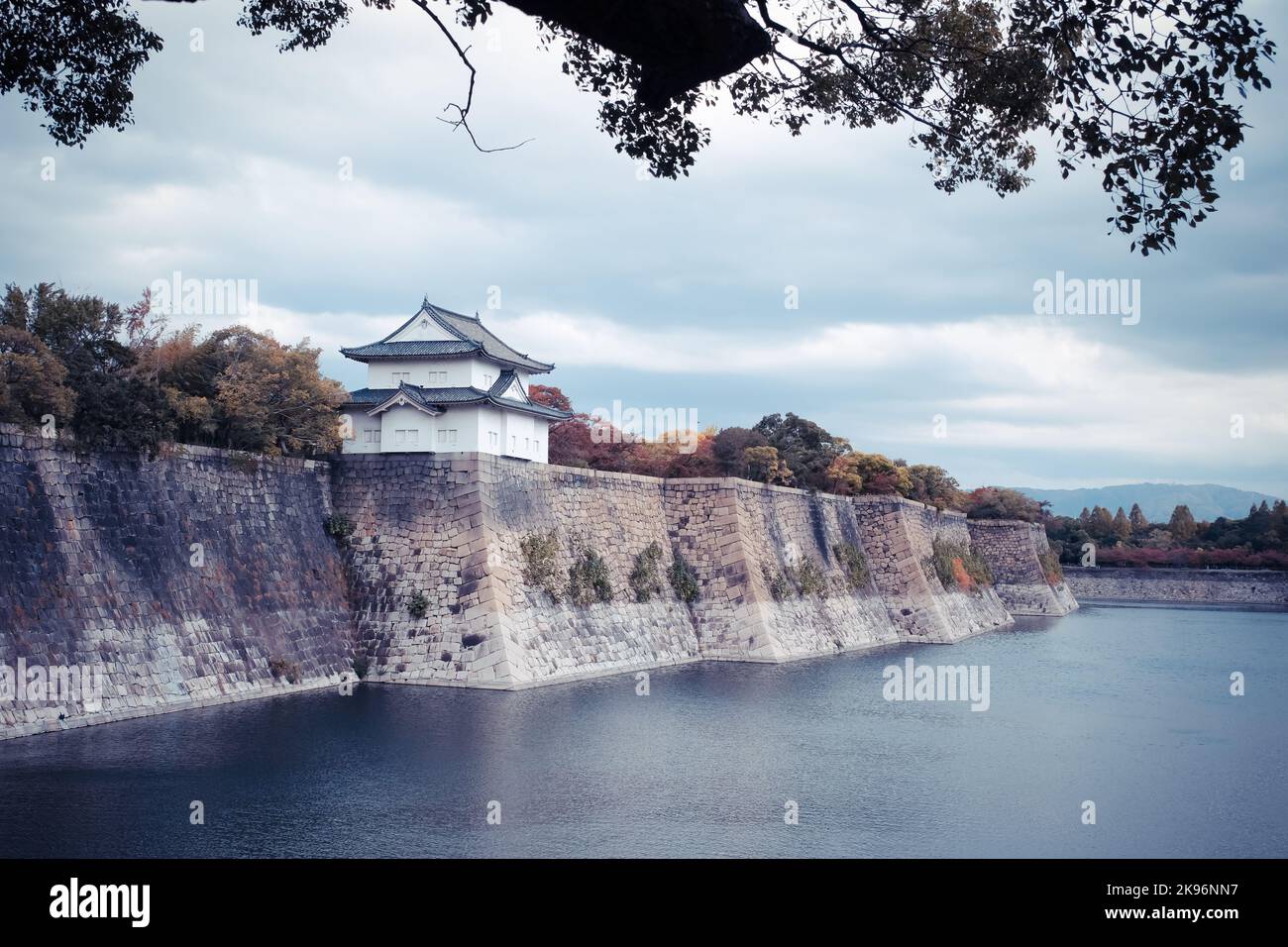 The Osaka castle in Japan surrounded by autumn trees Stock Photo - Alamy