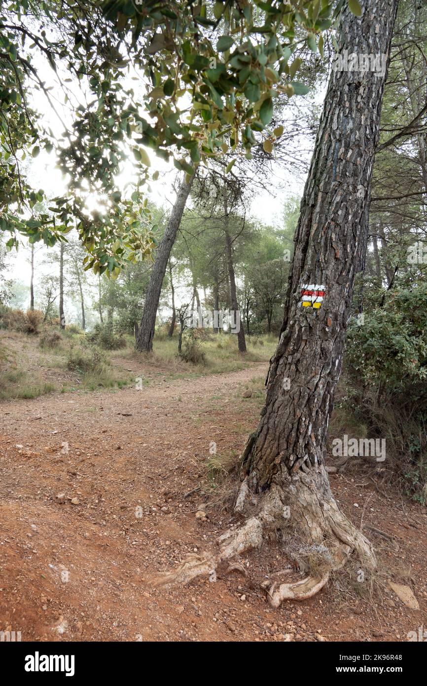 Different colors to indicate types of path, routes to be guided through ...