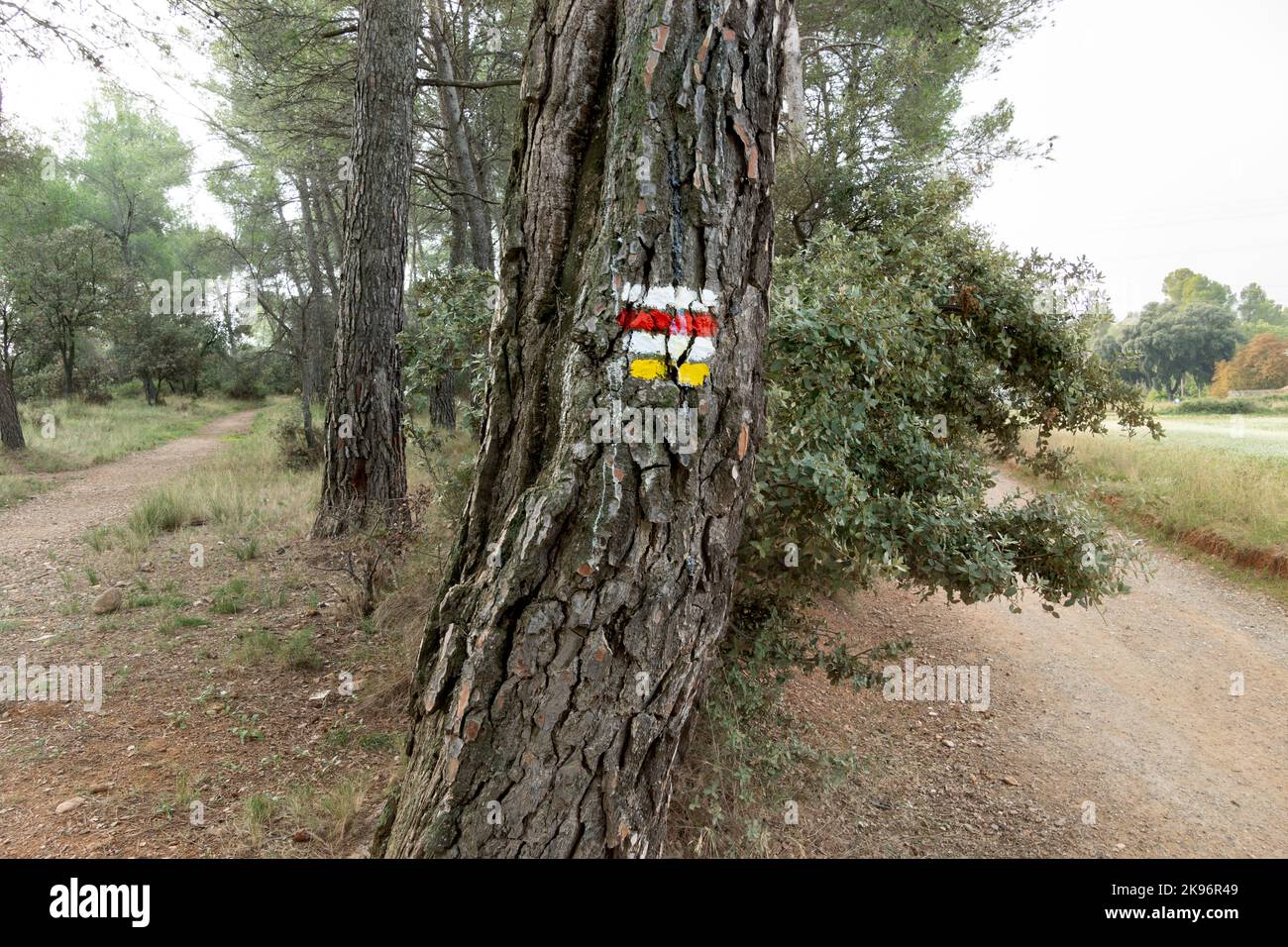 Different colors to indicate types of path, routes to be guided through ...