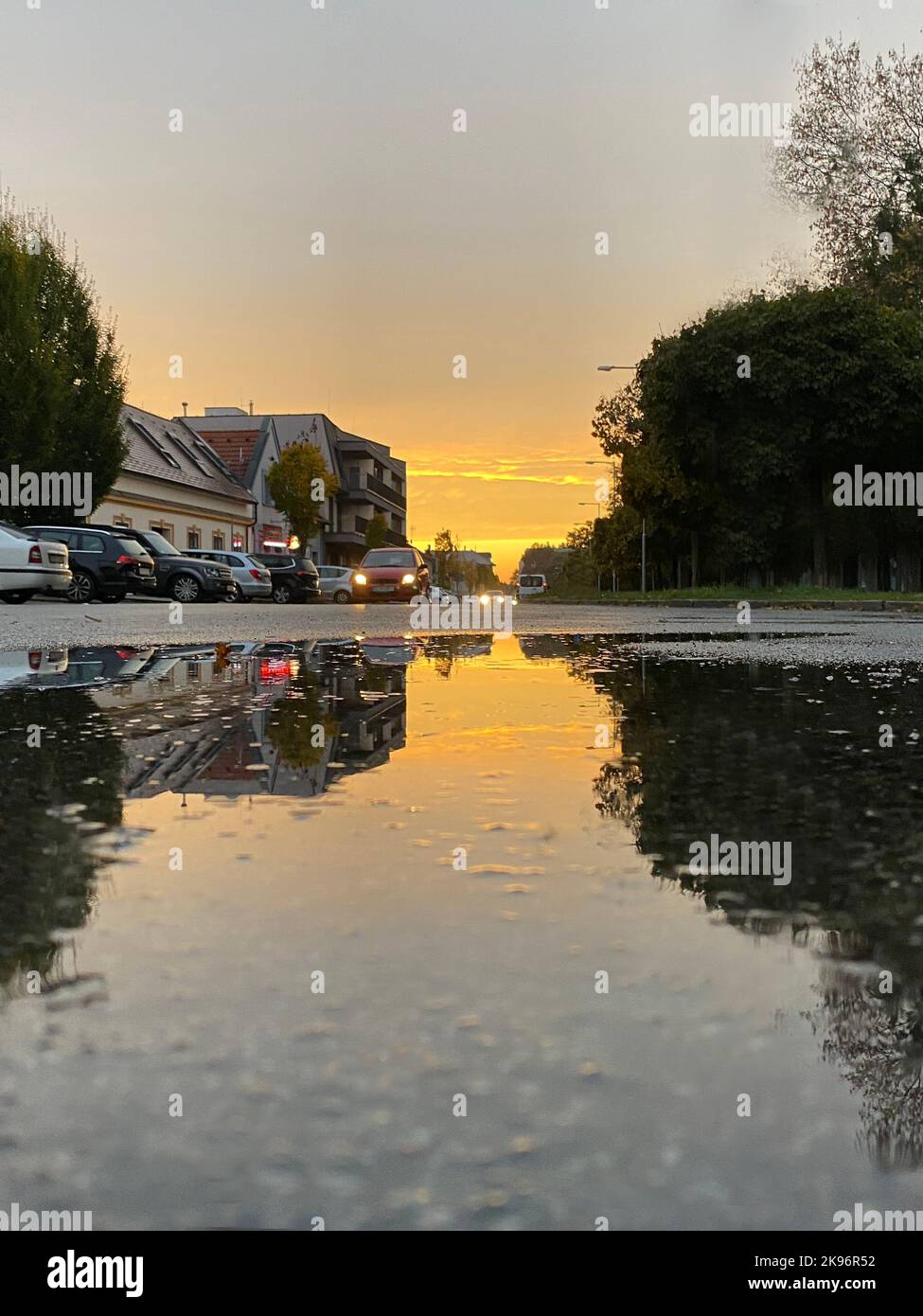 Effects of the environment hi-res stock photography and images - Alamy