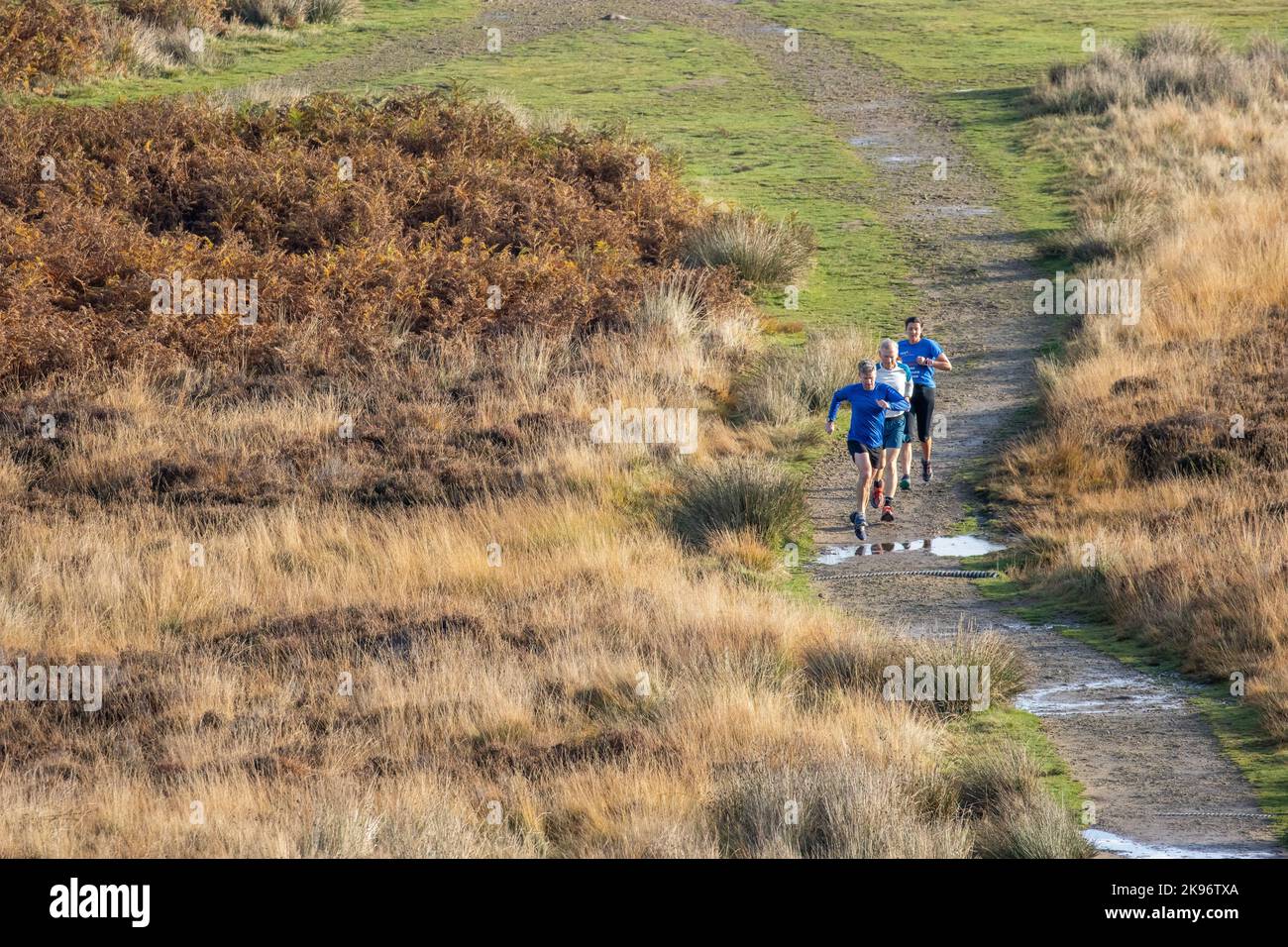 Three fellrunners (men and women) running along a path on Ilkley Moor ...