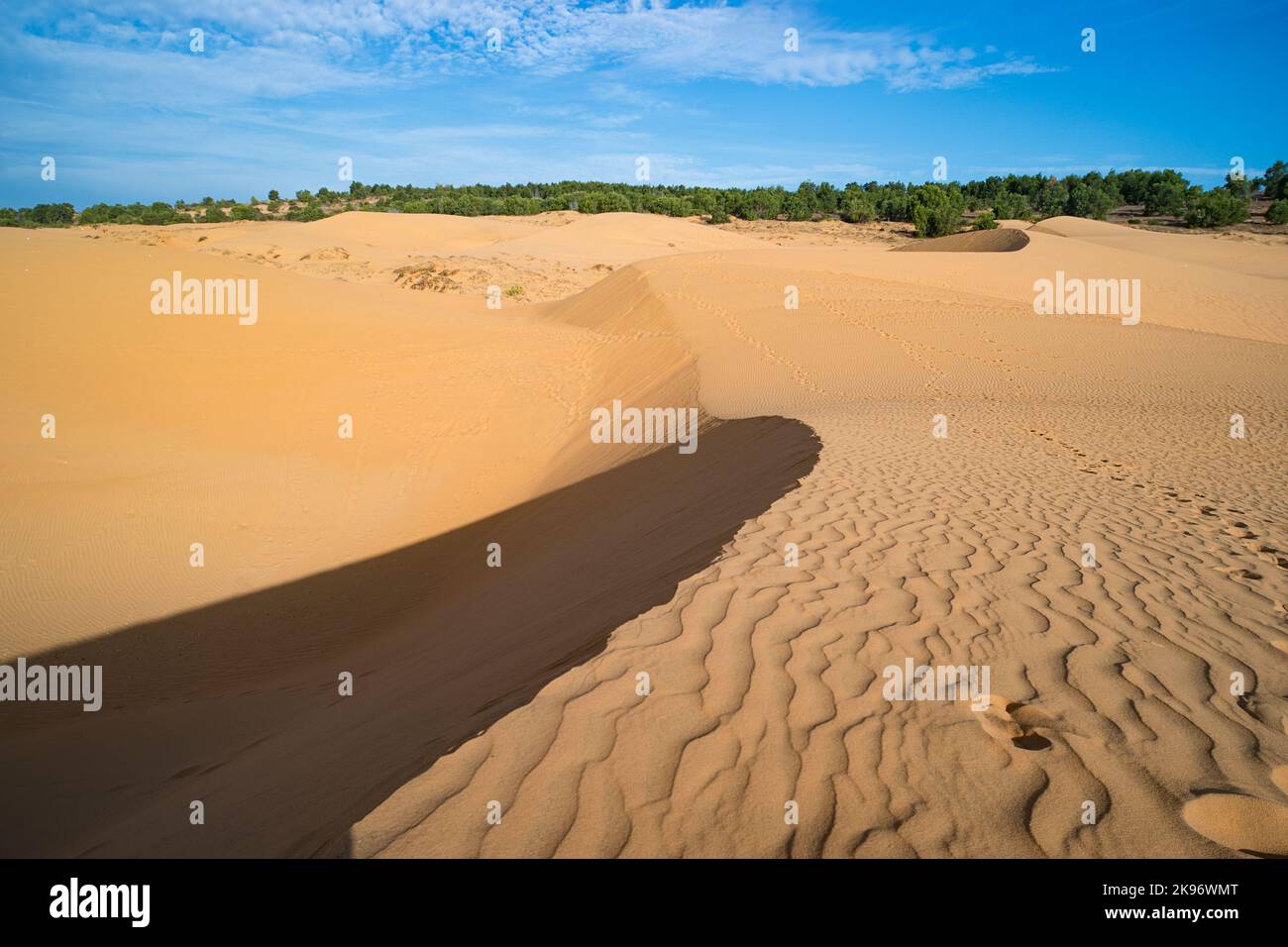 Sand dunes near Mui Ne. Group of off roads on top of dunes in ...