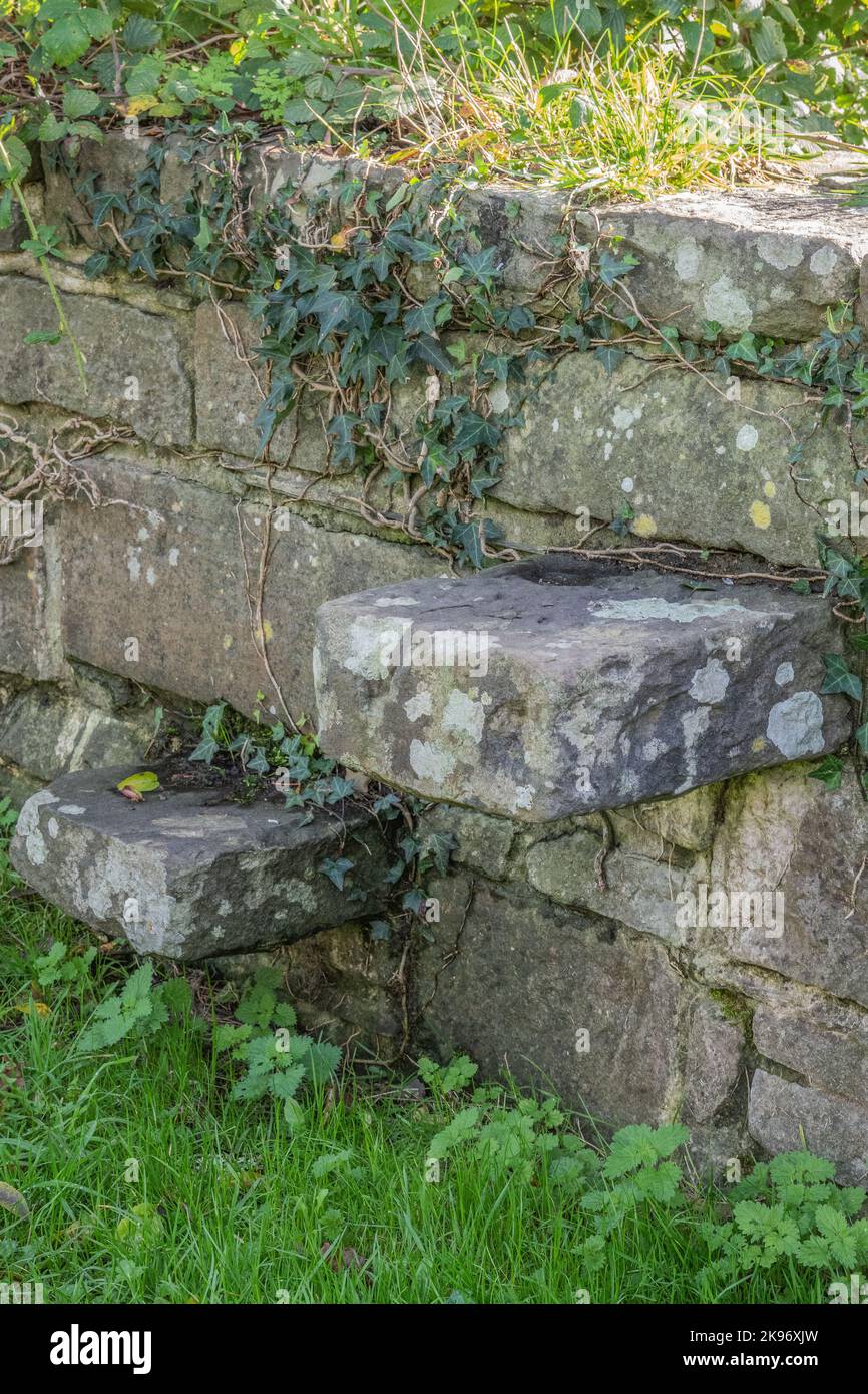 Ancient stone steps, over a dry stone wall, at Forest Farm, Cardiff ...