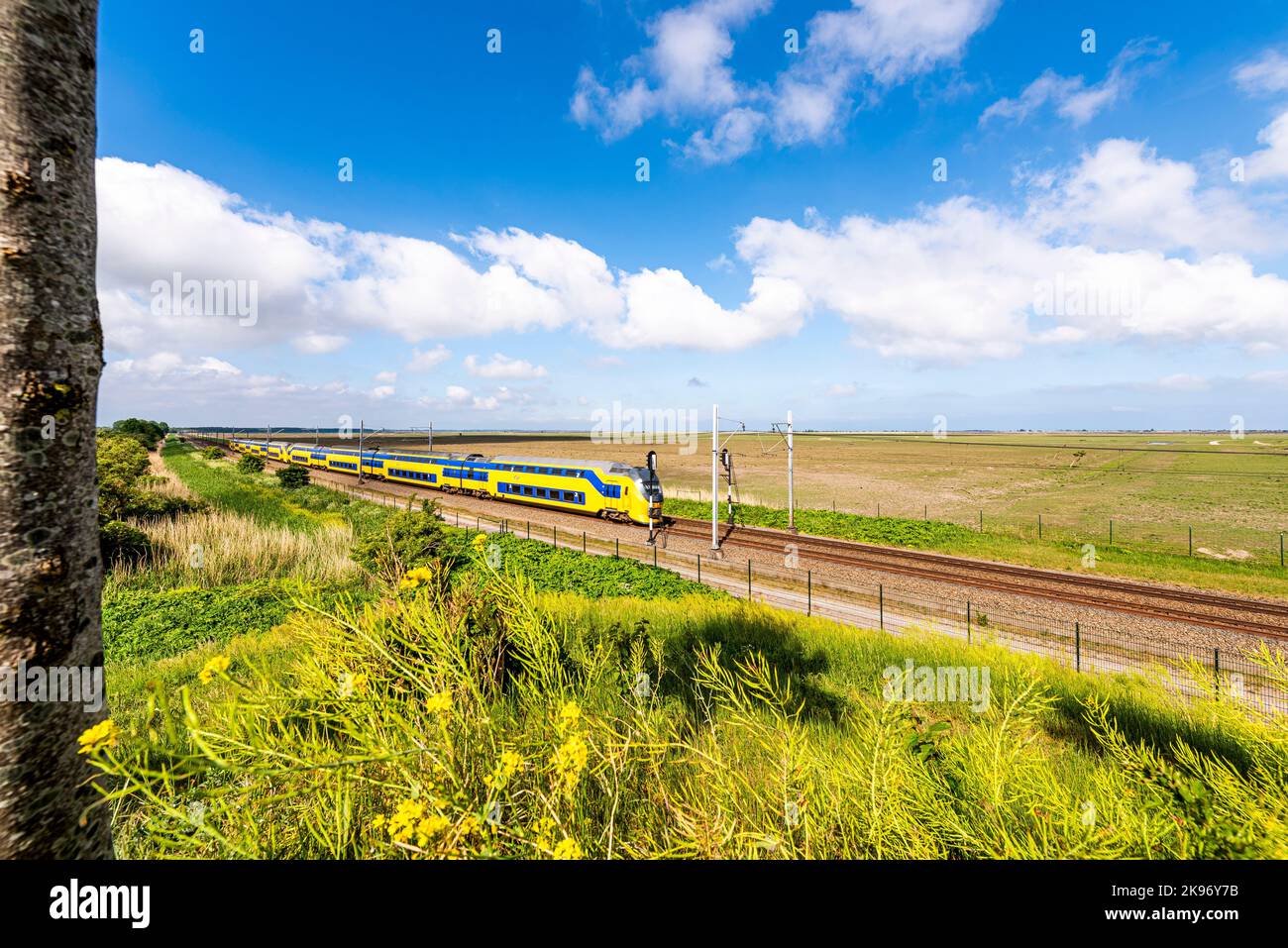 The Dutch electric train traveling through the countryside in Flevoland ...