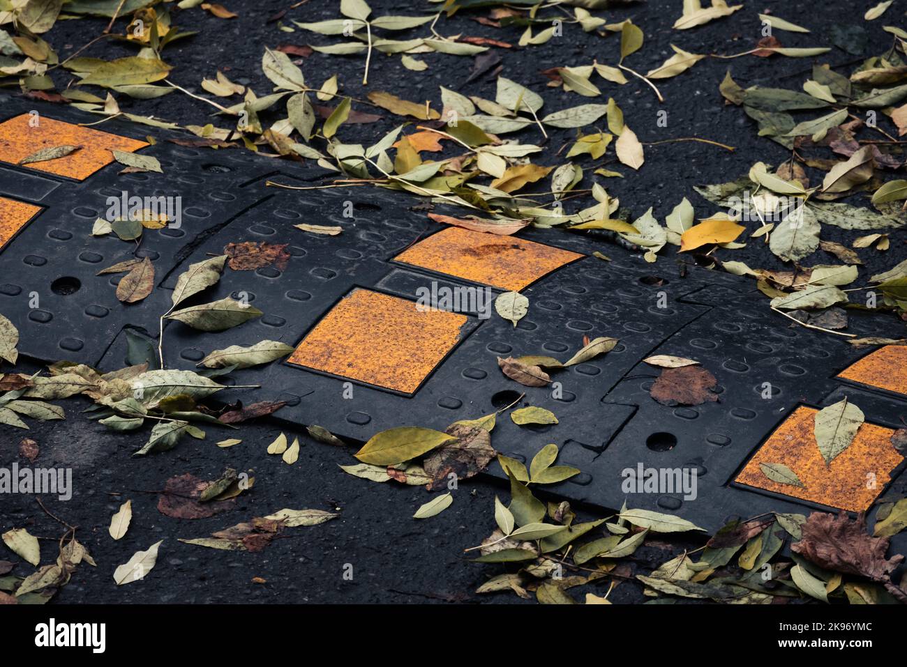 Speed bump is on wet street pavement with fallen leaves laying an black ...