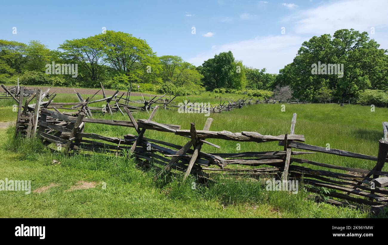 The green colors of the summer farm Stock Photo - Alamy