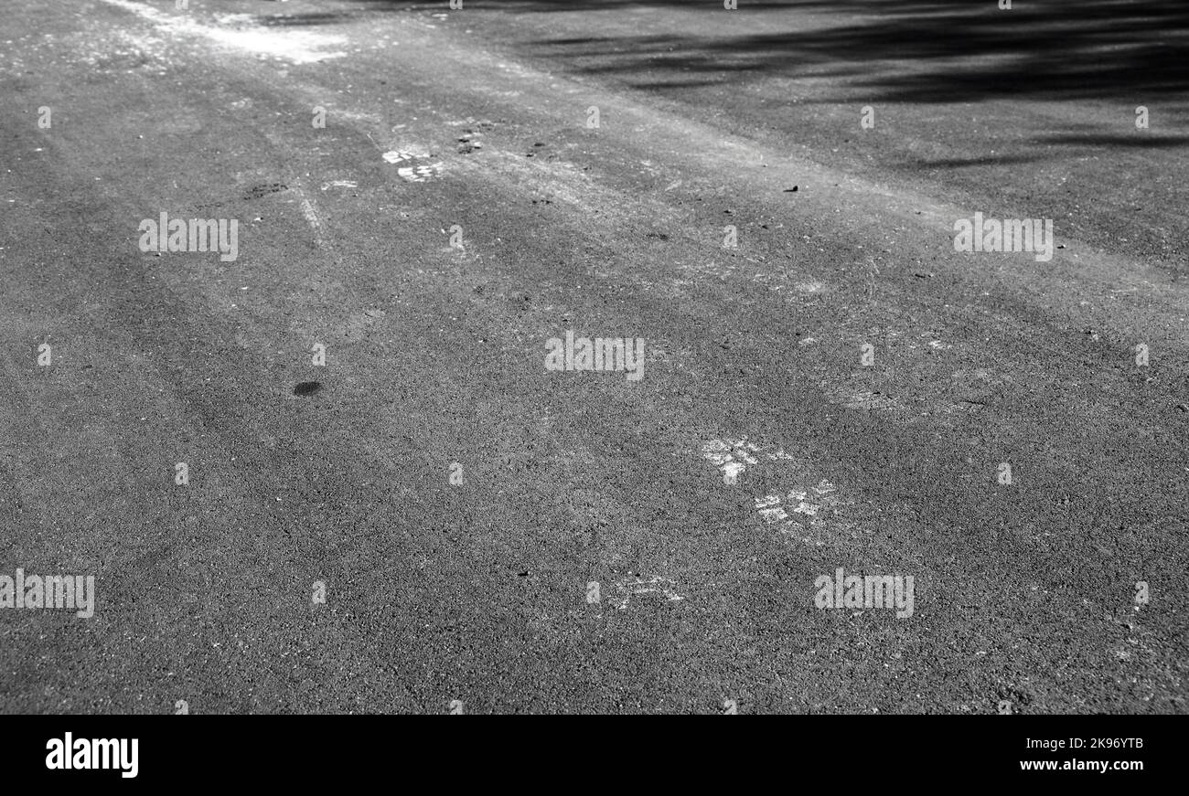 White human footprints goes over asphalt road, background photo with ...