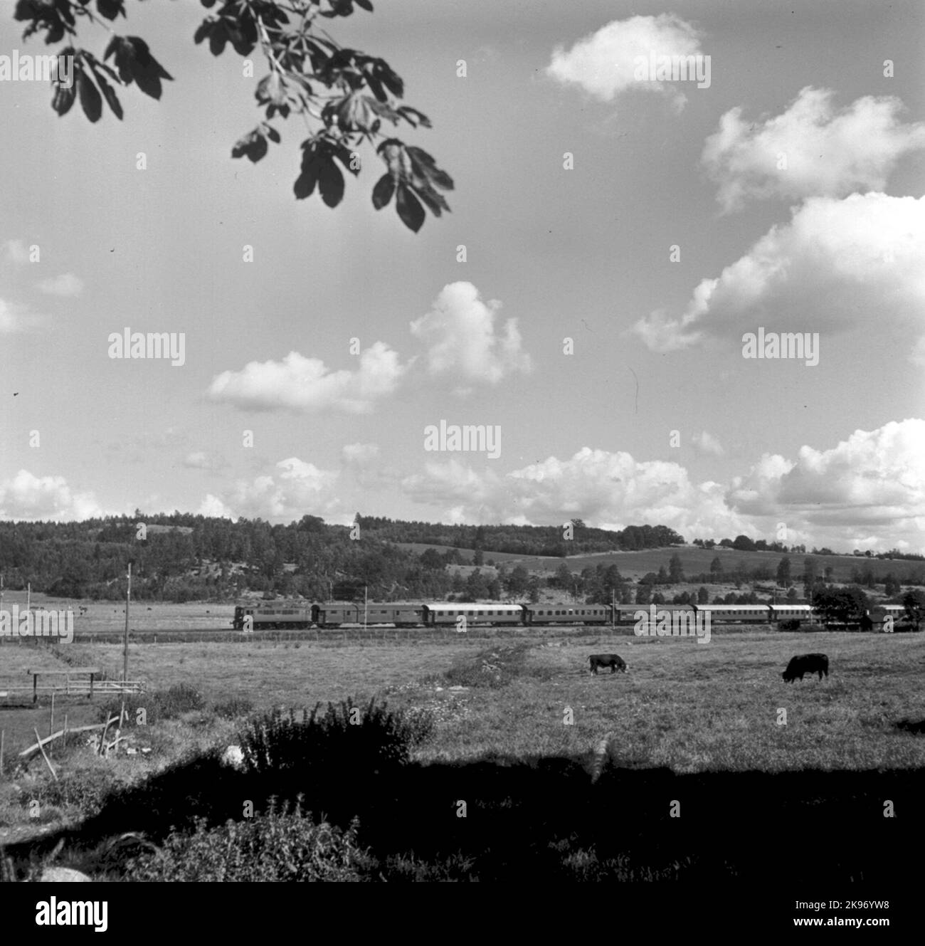 State Railways, SJ Trains on the line and SNLC. Sunlit Nights Land ...