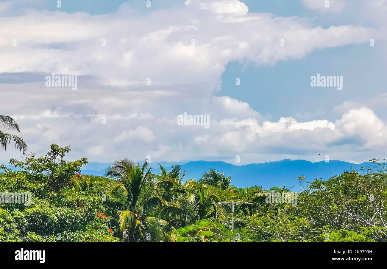 Beautiful nature with palm trees and mountains in Puerto Escondido ...