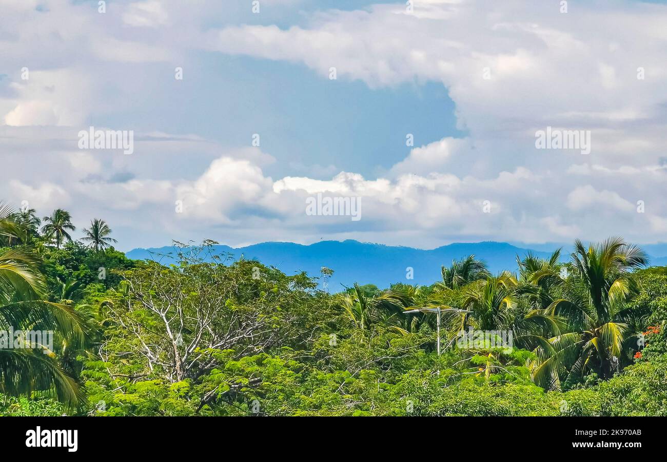 Beautiful nature with palm trees and mountains in Puerto Escondido ...