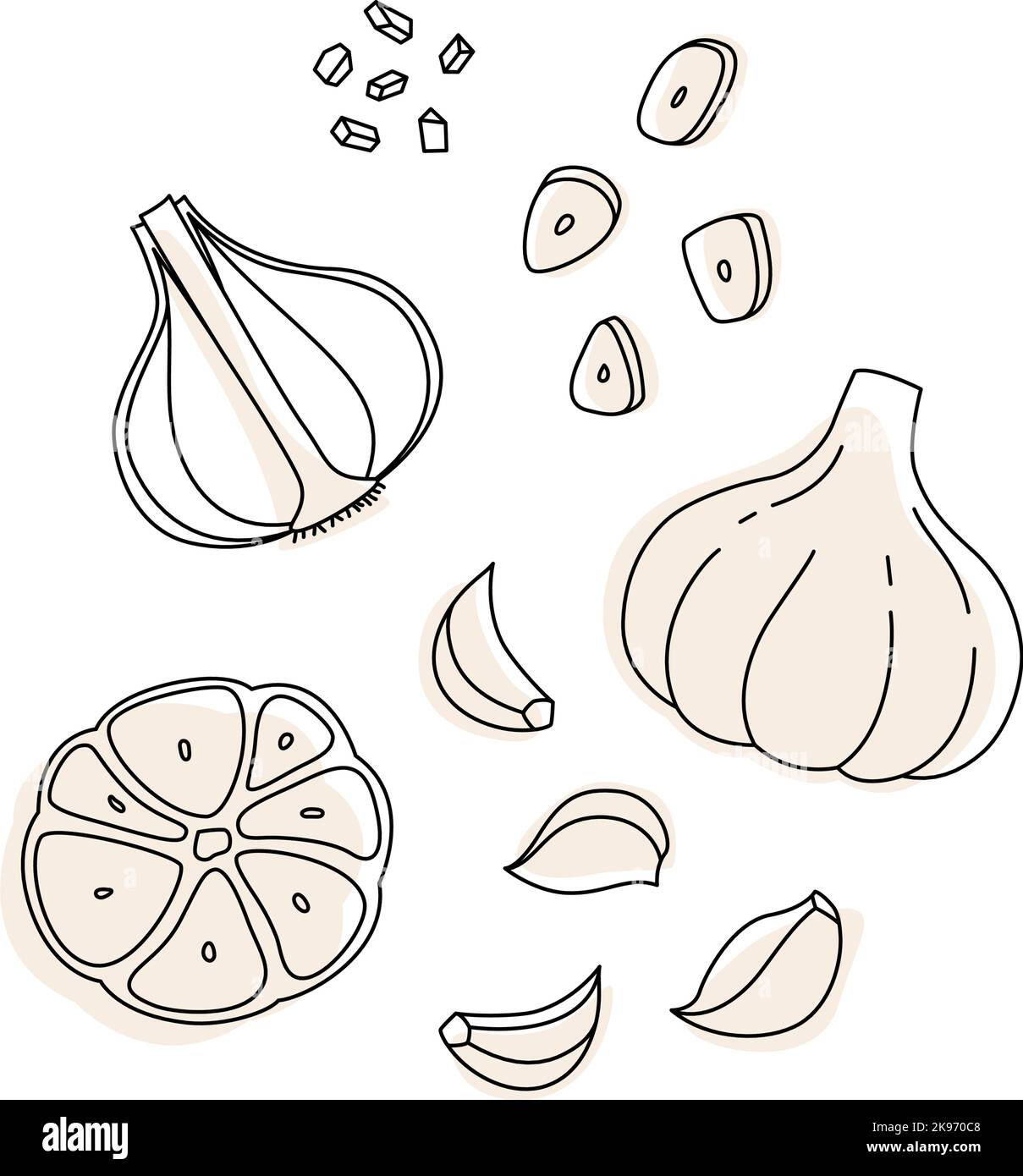 Doodle outline set whole and slice garlic with spot. Vector hand-drawn ...