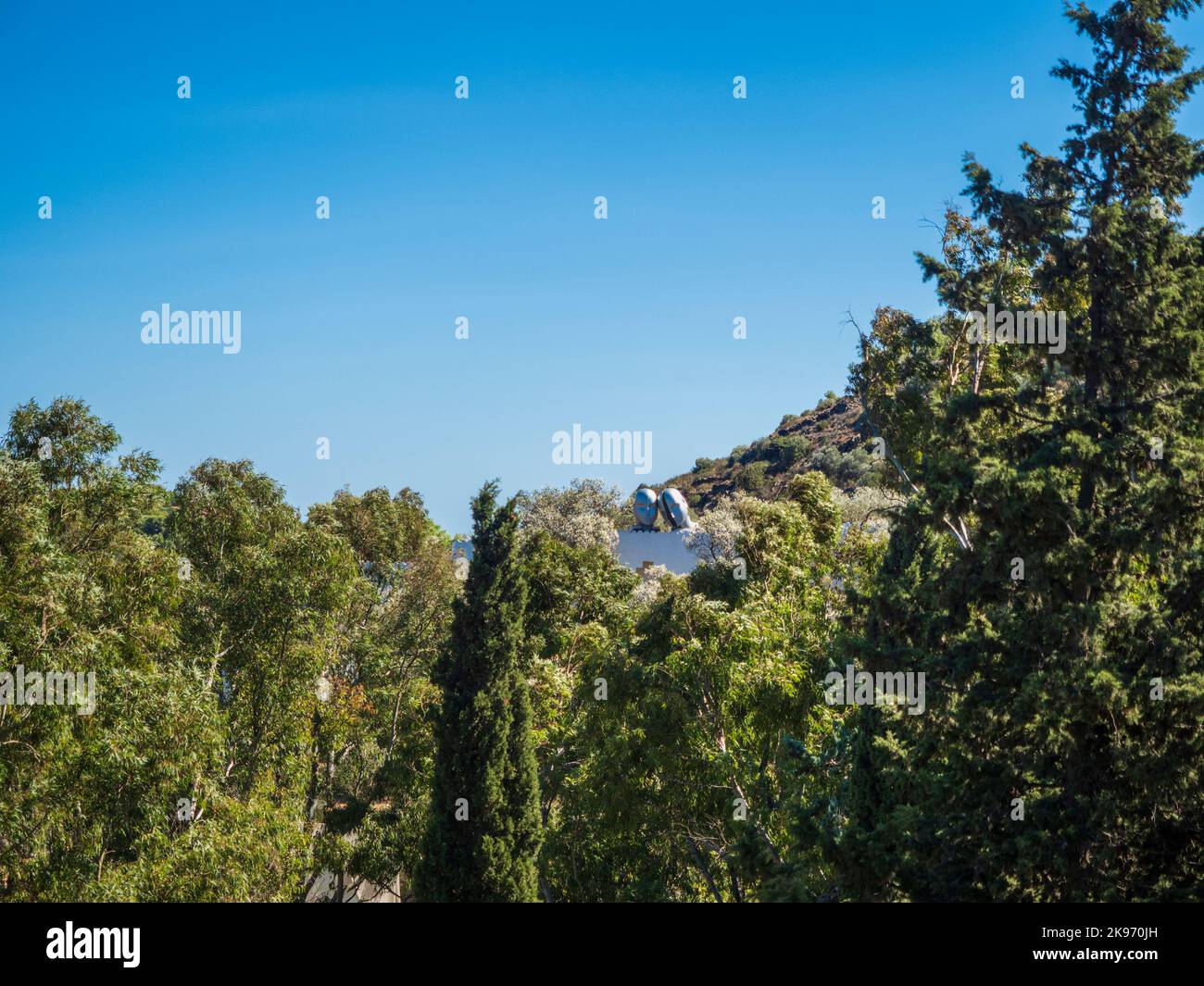 Two decorative heads stand out among the trees in the house that ...