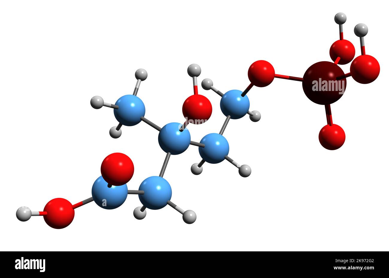 3D image of Phosphomevalonic acid skeletal formula - molecular chemical ...