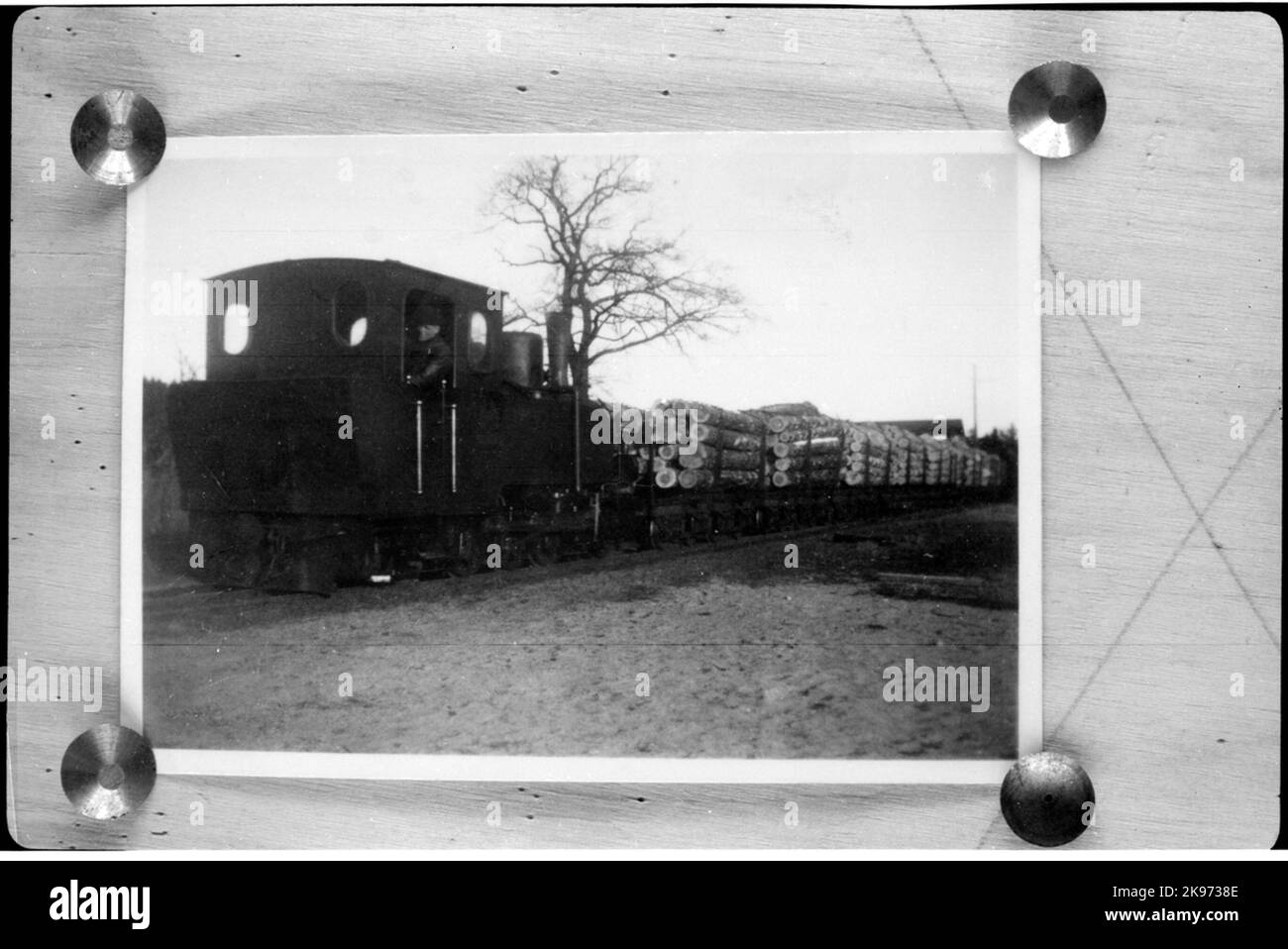 Steam locomotive with timber cars Stock Photo - Alamy