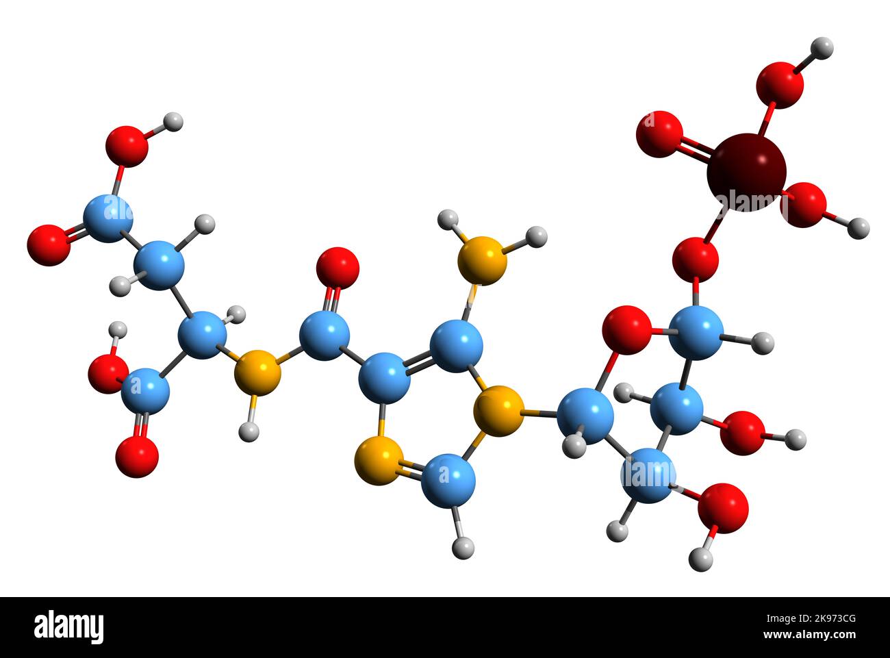 3D image of Phosphoribosylaminoimidazolesuccinocarboxamide skeletal ...