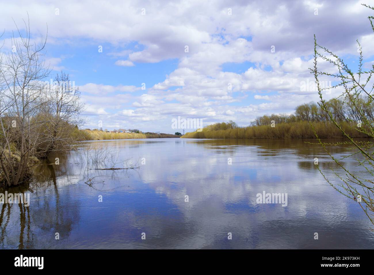 River with cloudy skies and willows growing along the shore in spring ...