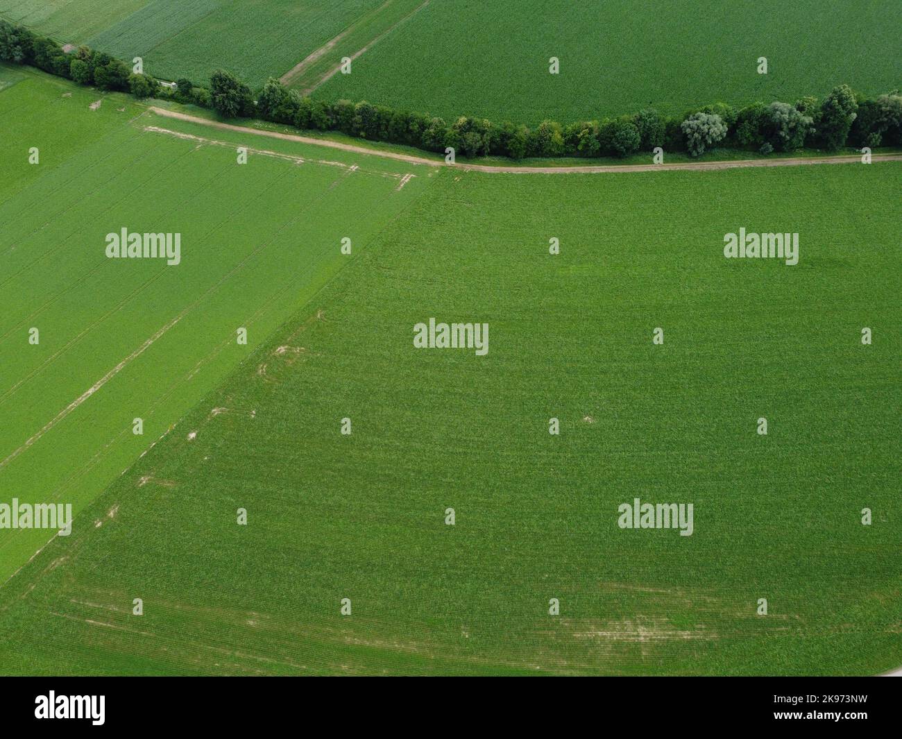Aerial view of an agricultural field with grain planted in spring in ...