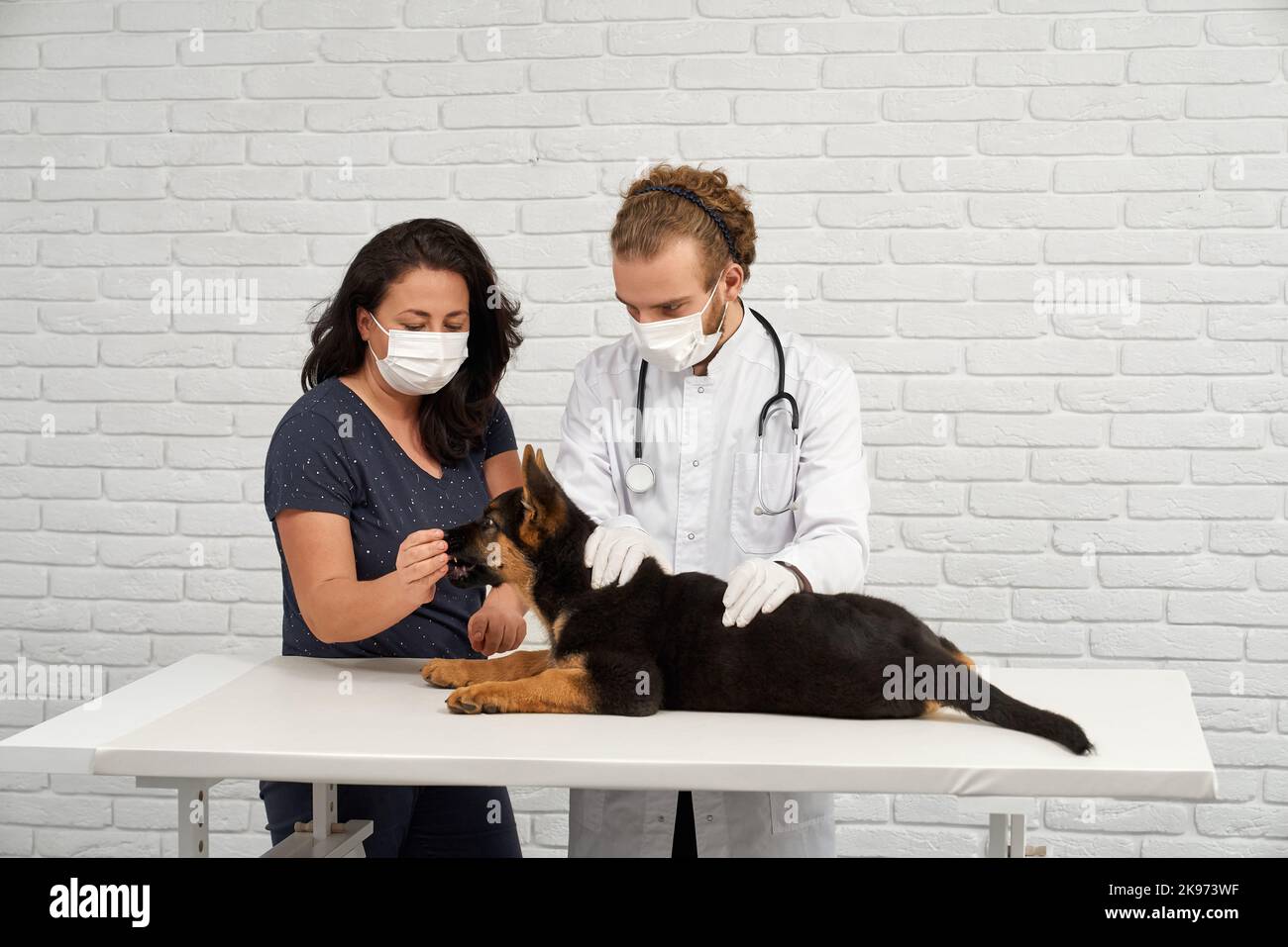 Portrait of animal owner and doctor wearing masks supporting German ...