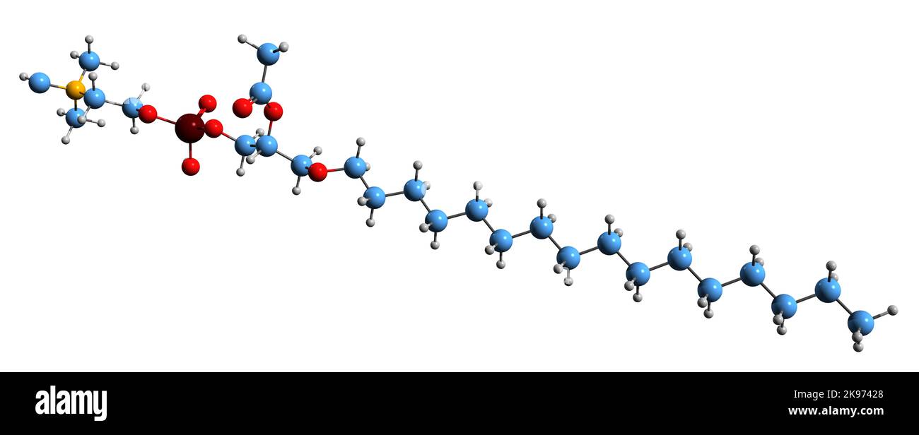 Phospholipid activator hi-res stock photography and images - Alamy