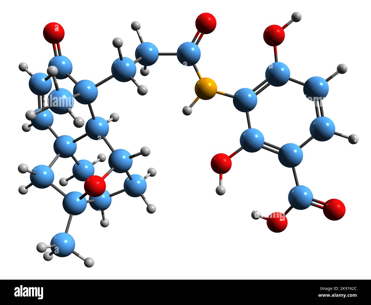 Vancomycin intermediate hi-res stock photography and images - Alamy