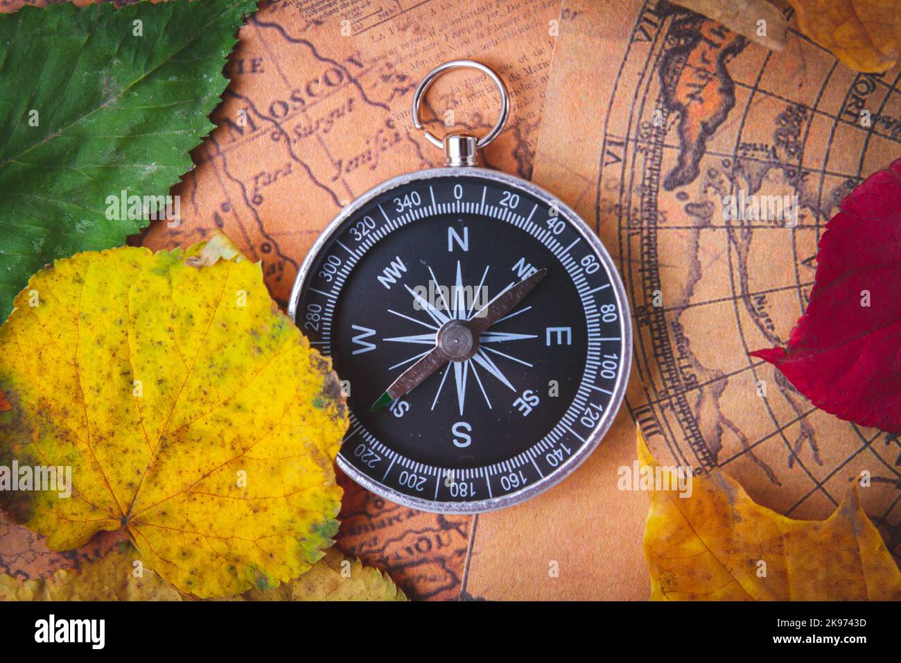 Traveler's compass on map in bright multi-colored autumn leaves ...