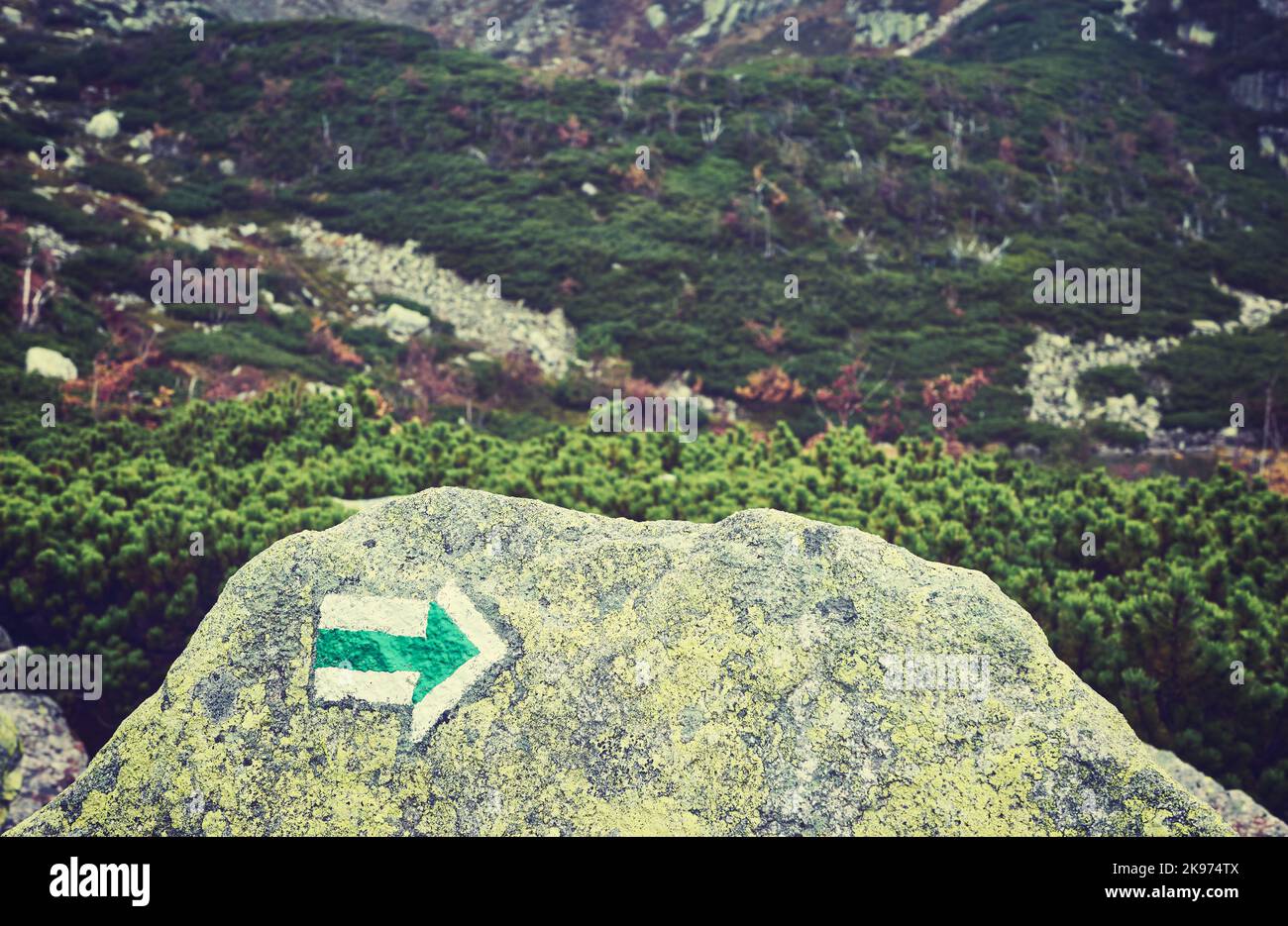 Trail marking arrow painted on a rock, color toning applied, selective ...