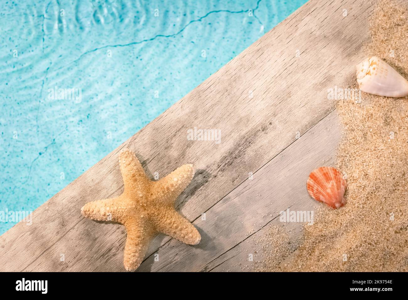 Shells seen from above on a wooden pavement above a pool with a ...