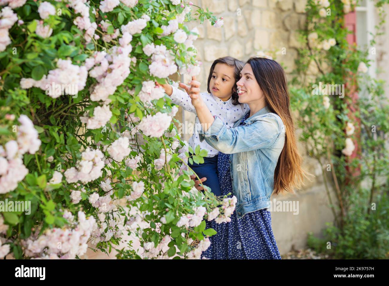 Mother and little handsome baby boy looking at bush with white roses ...